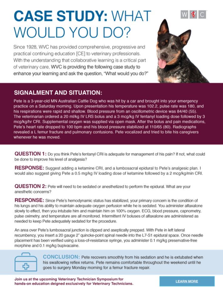 Anesthesia Case Study - Kimberly Spelts, CVT, VTS (Anesthesia/Analgesia)